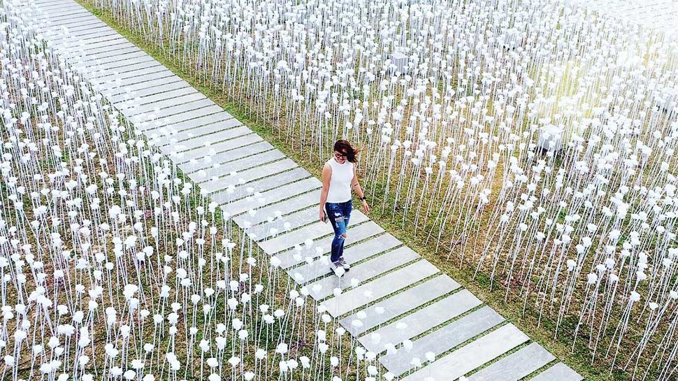 You Have to See This Field of LED Roses in Cebu | Preview.ph