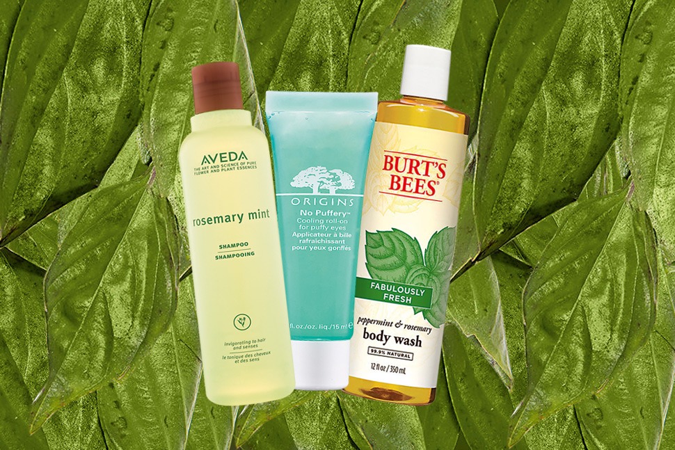 9 Mint-Based Products to Keep You Fresh All Day | Preview.ph